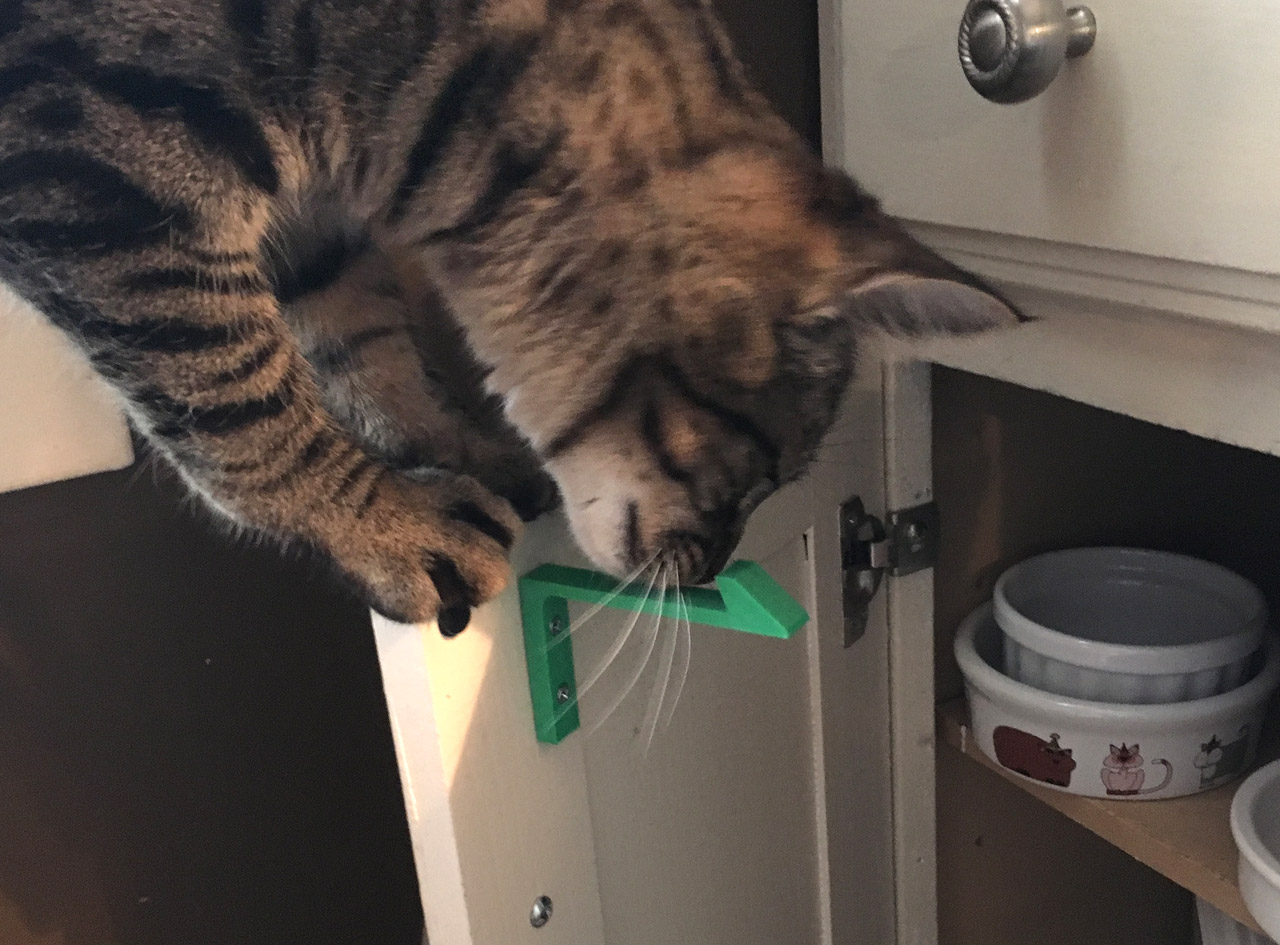 Kitten Safety Locks – RasterWeb!