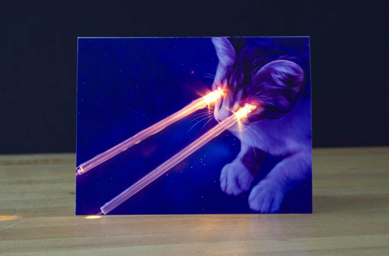 Sharks, Cats, and Lasers! – RasterWeb!