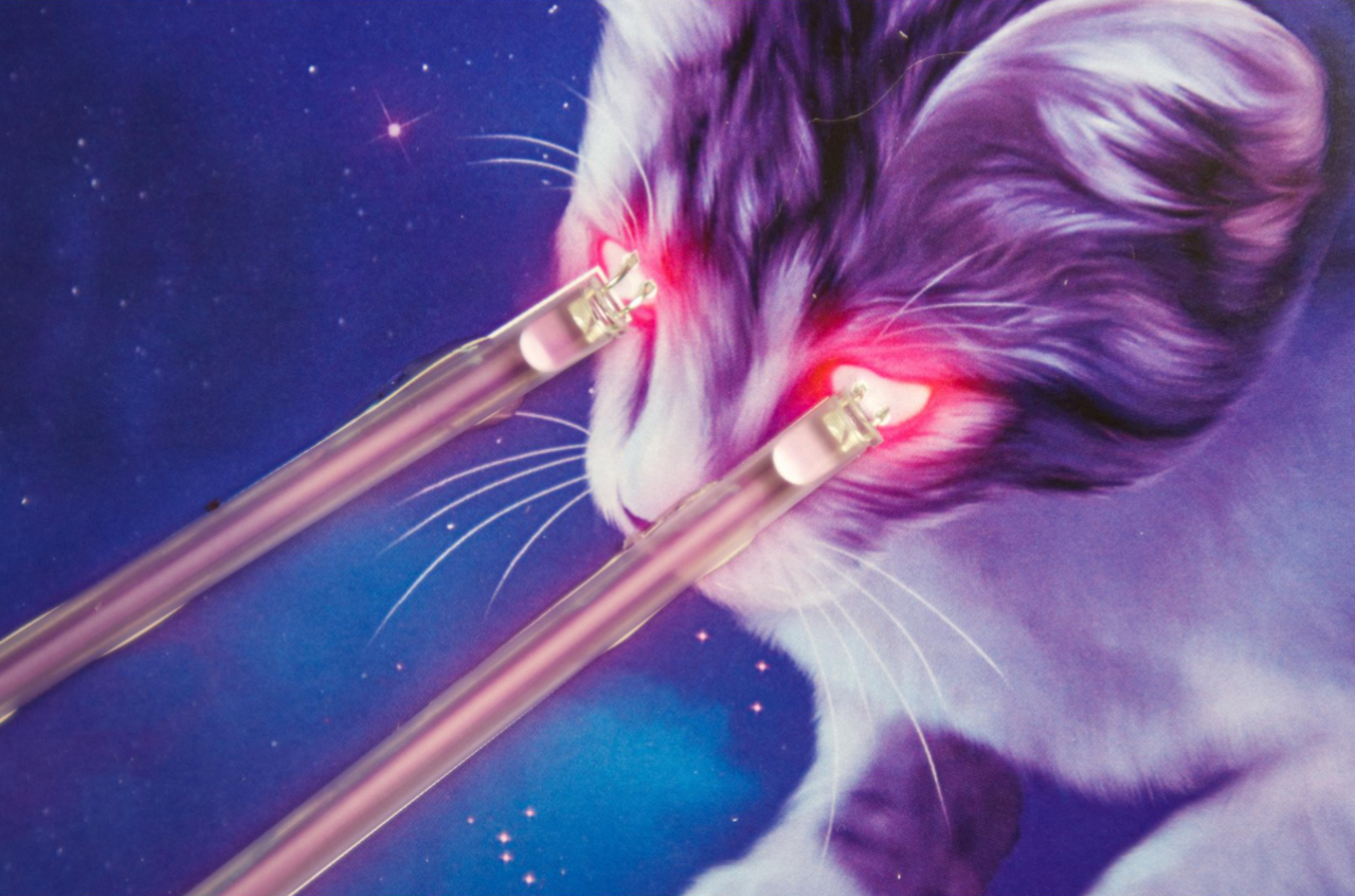 Sharks, Cats, and Lasers! – RasterWeb!