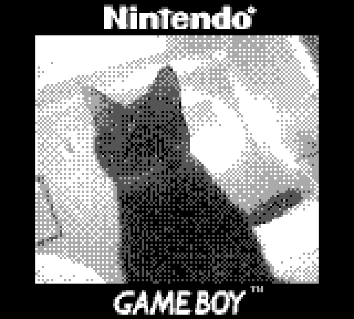 Game Boy Camera – RasterWeb!