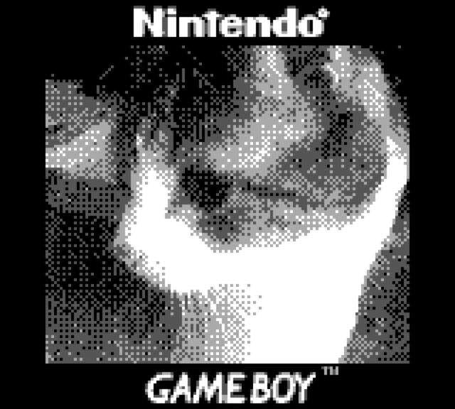 Game Boy Camera – RasterWeb!